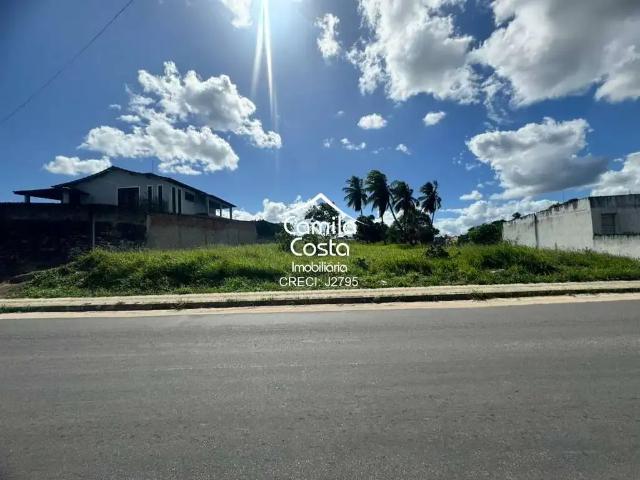 Terreno / Lote para Venda em Alagoinhas/BA Alagoinhas Velha
