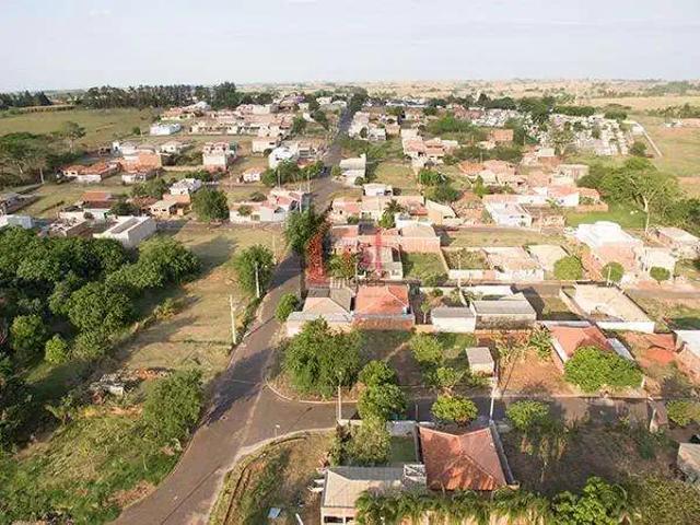 Terreno / Lote para Venda em Alfredo Marcondes/SP Centro