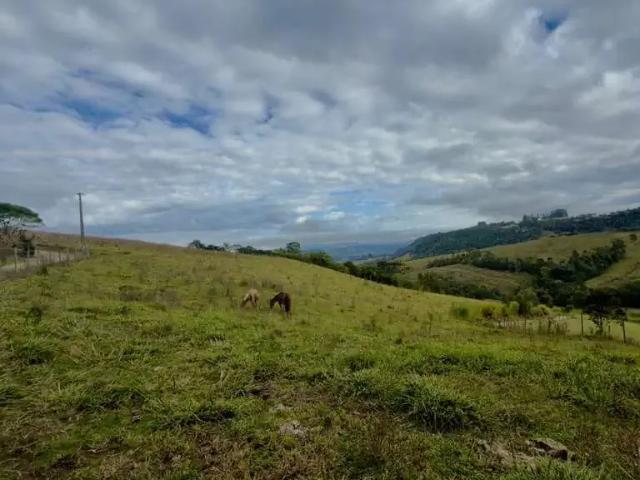 Terreno / Lote para Venda em Alfredo Wagner/SC Centro