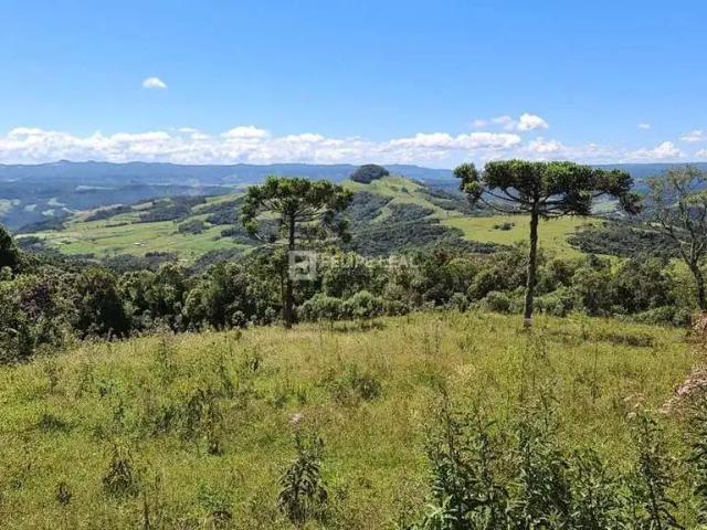 Terreno / Lote para Venda em Alfredo Wagner/SC Santa Barbara