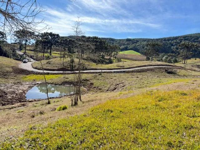 Terreno / Lote para Venda em Alfredo Wagner/SC Santa Barbara