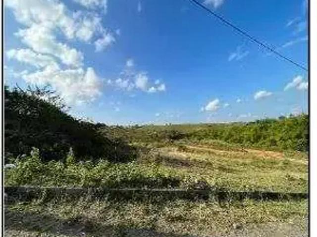 Terreno / Lote para Venda em Aliança/PE Centro 1 Quartos