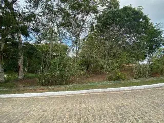 Terreno / Lote para Venda em Aliança/PE Centro