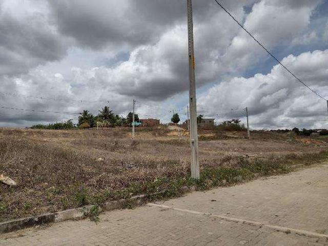 Terreno / Lote para Venda em Aliança/PE Zona Rural 1 Quartos