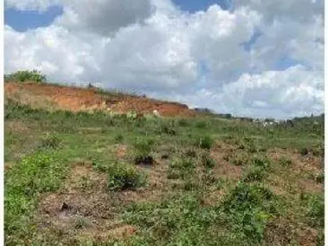 Terreno / Lote para Venda em Aliança/PE Zona Rural 1 Quartos