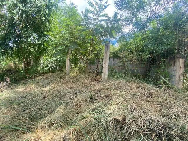 Terreno / Lote para Venda em Alpercata/MG Era Nova