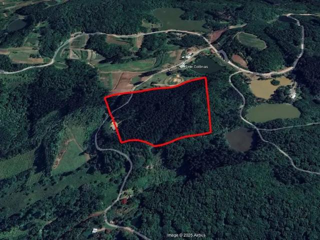 Terreno / Lote para Venda em Alto Feliz/RS Zona Rural