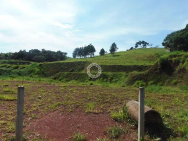 Terreno / Lote para Venda em Alumínio/SP Briquituba