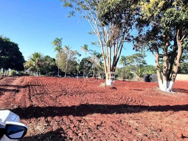Terreno / Lote para Venda em Alvorada do Sul/PR Zona Rural