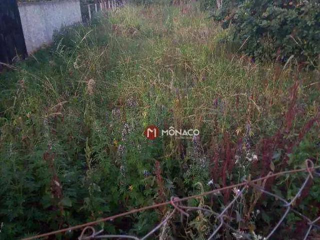 Terreno / Lote para Venda em Alvorada do Sul/PR Centro