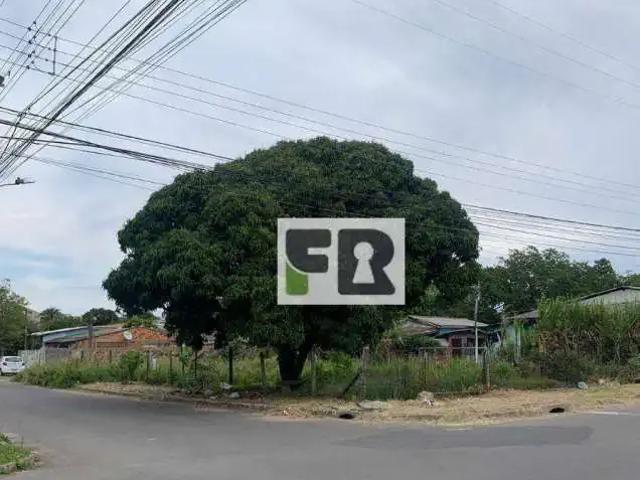 Terreno / Lote para Venda em Alvorada/RS Bela Vista