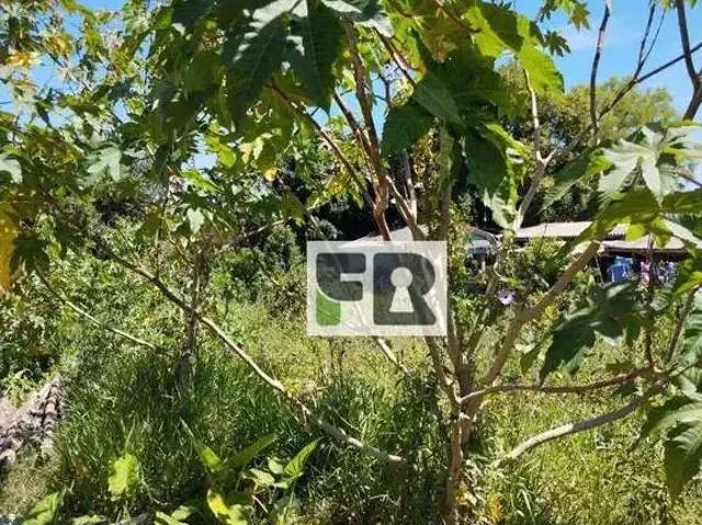 Terreno / Lote para Venda em Alvorada/RS Formoza