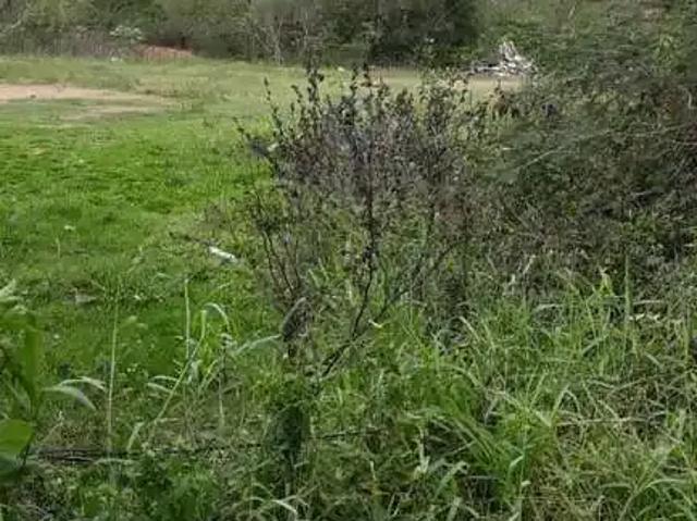 Terreno / Lote para Venda em Alvorada/RS Jardim Algarve