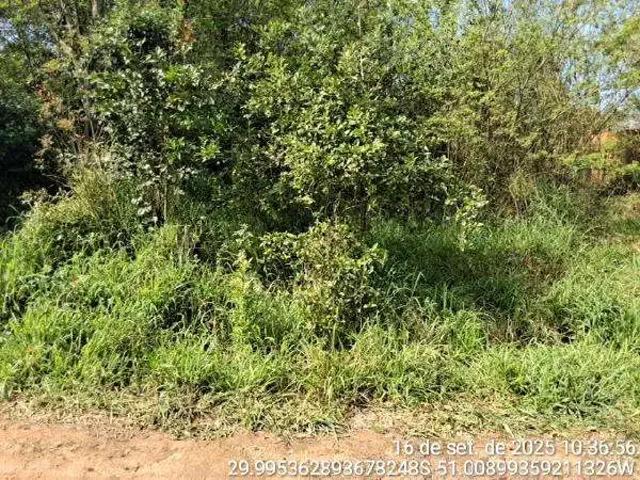 Terreno / Lote para Venda em Alvorada/RS Tijuca