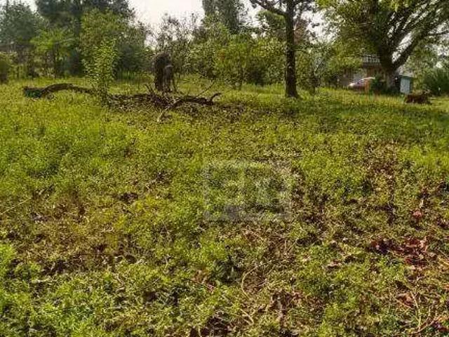 Terreno / Lote para Venda em Alvorada/RS Zona Rural