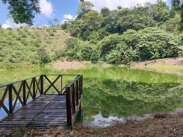 Terreno / Lote para Venda em Amaraji/PE Zona Rural 5 Quartos