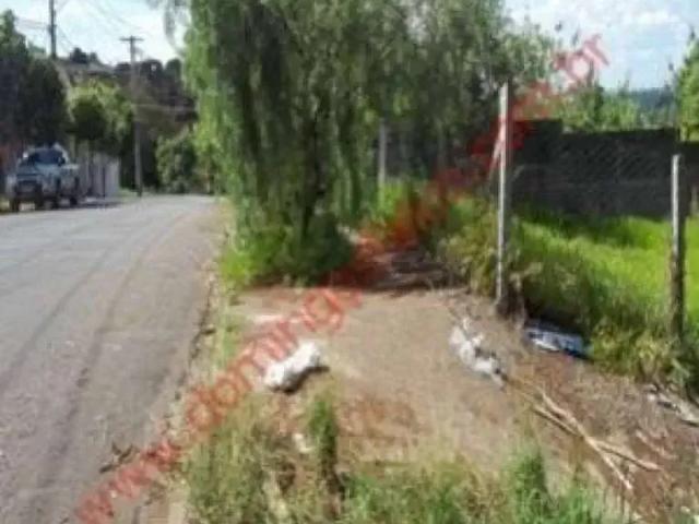 Terreno / Lote para Venda em Americana/SP Vila Dainese