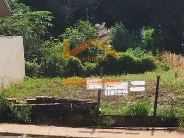 Terreno / Lote para Venda em Americana/SP Werner Plaas
