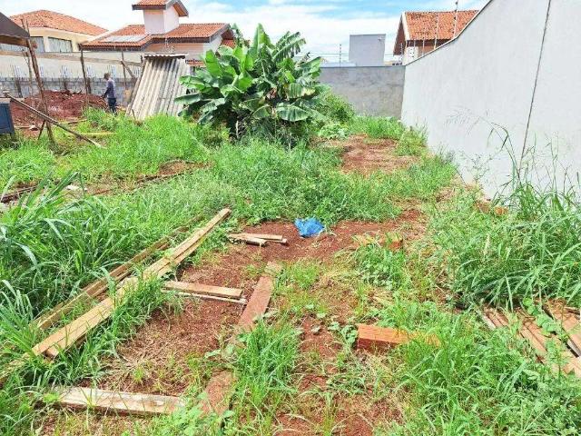 Terreno / Lote para Venda em Americana/SP Werner Plaas