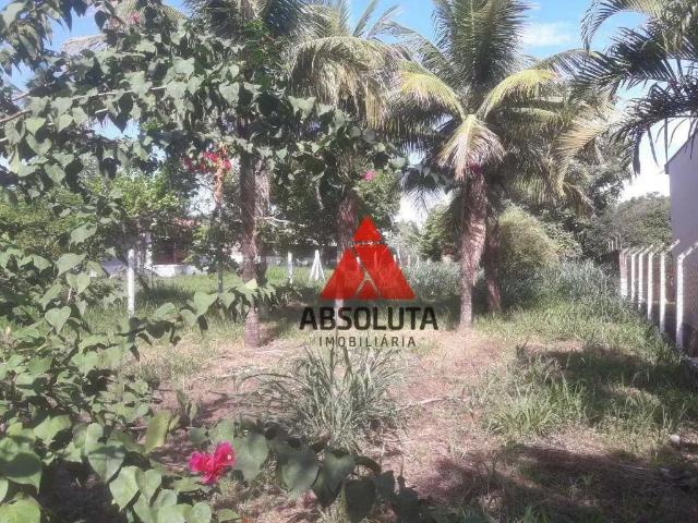 Terreno / Lote para Venda em Americana/SP Bosque dos Ipês