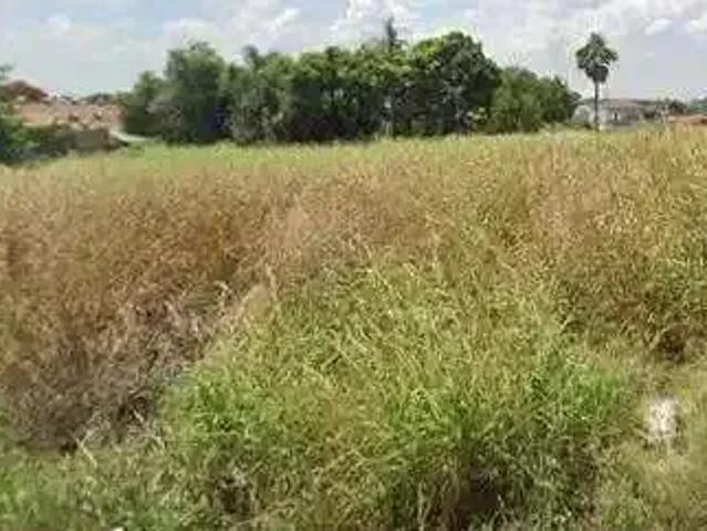 Terreno / Lote para Venda em Americana/SP Brieds