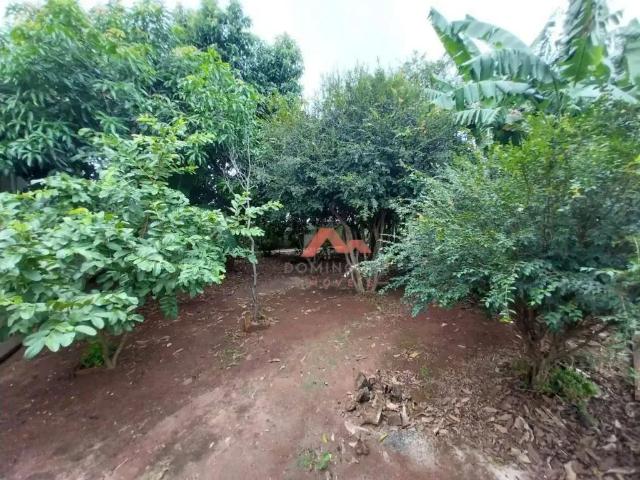 Terreno / Lote para Venda em Americana/SP Campo Limpo
