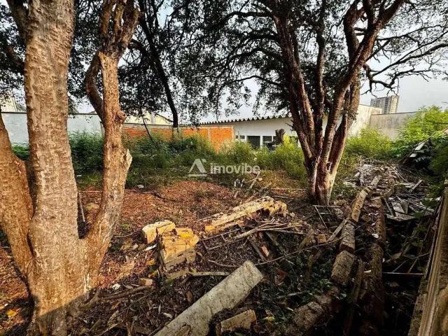 Terreno / Lote para Venda em Americana/SP Centro