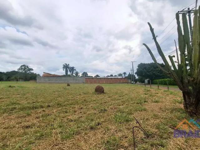 Terreno / Lote para Venda em Americana/SP Fazenda Santa Lúcia