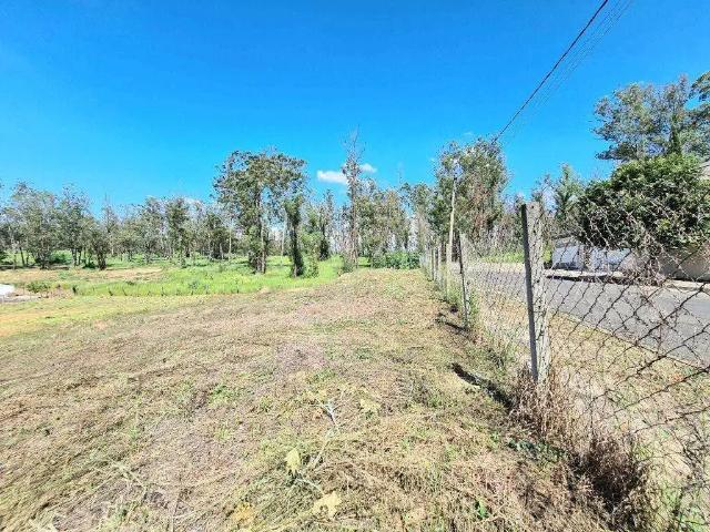 Terreno / Lote para Venda em Americana/SP Jardim Dona Judith