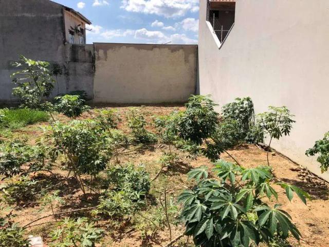 Terreno / Lote para Venda em Americana/SP Jardim da Balsa II