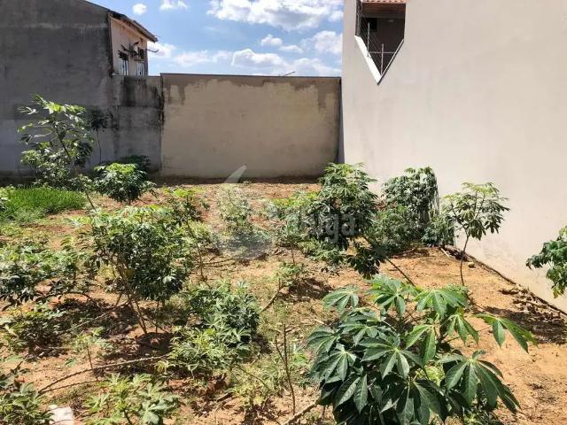 Terreno / Lote para Venda em Americana/SP Jardim da Balsa II