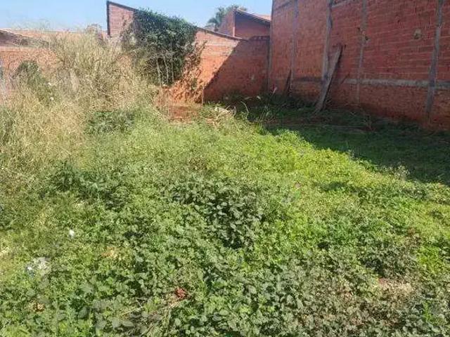 Terreno / Lote para Venda em Americana/SP Jardim da Mata