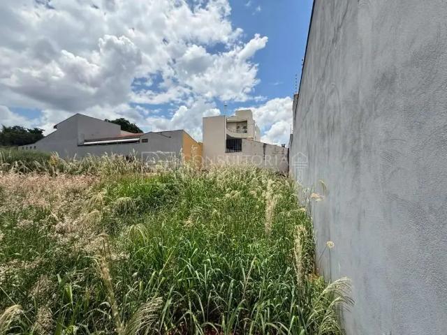 Terreno / Lote para Venda em Americana/SP Jardim Ipiranga