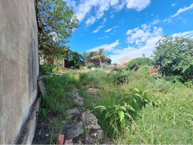 Terreno / Lote para Venda em Americana/SP Jardim São Domingos