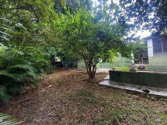 Terreno / Lote para Venda em Americana/SP Jardim São Domingos