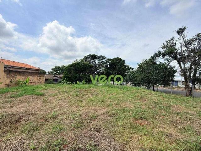 Terreno / Lote para Venda em Americana/SP Jardim Santa Eliza