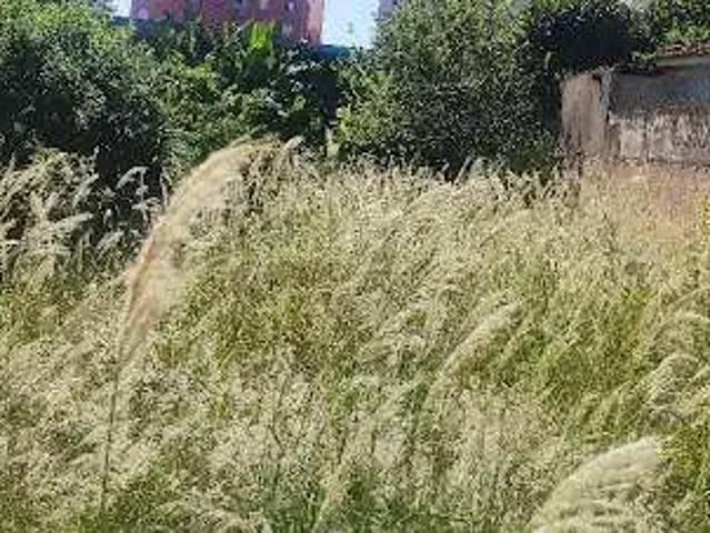 Terreno / Lote para Venda em Americana/SP Jardim Progresso