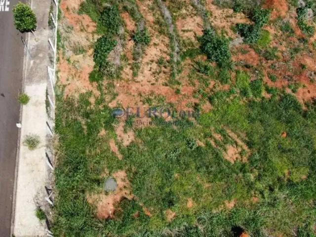 Terreno / Lote para Venda em Americana/SP Loteamento Residencial Jardim dos Pinheiros