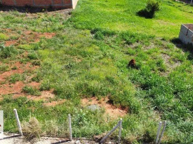 Terreno / Lote para Venda em Americana/SP Loteamento Residencial Jardim dos Pinheiros