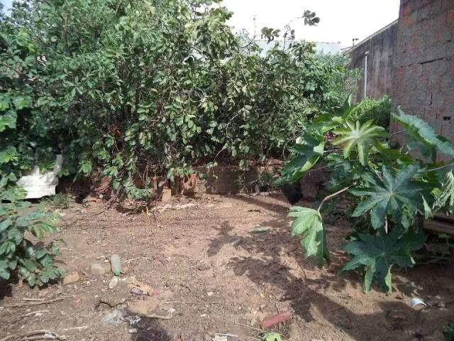 Terreno / Lote para Venda em Americana/SP Parque Gramado