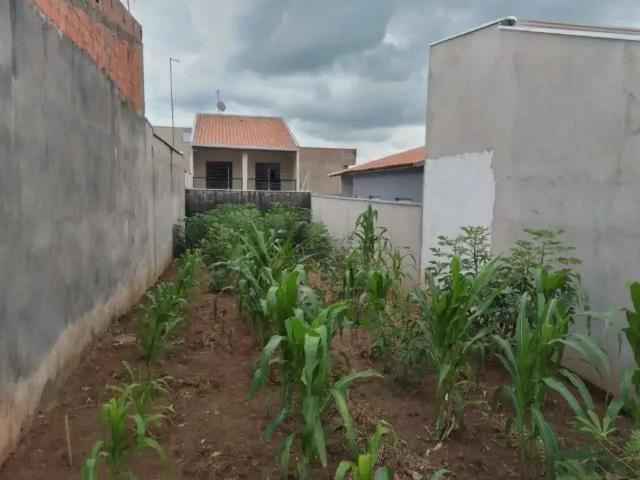 Terreno / Lote para Venda em Americana/SP Parque Nova Carioba