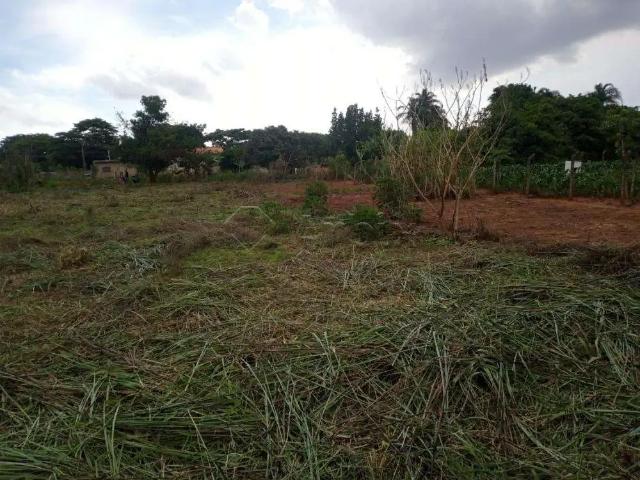 Terreno / Lote para Venda em Americana/SP Parque Residencial Tancredi 1 Quartos