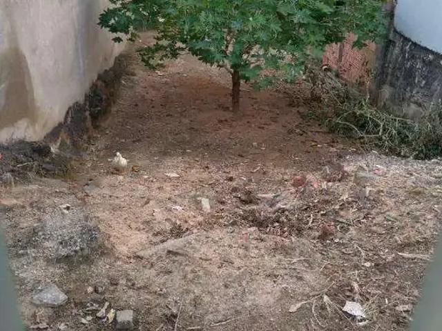 Terreno / Lote para Venda em Americana/SP Residencial Vale das Nogueiras