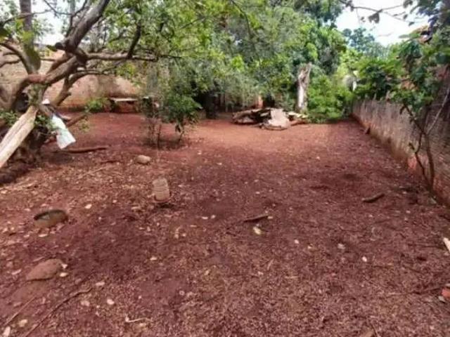 Terreno / Lote para Venda em Americana/SP Residencial Vale das Nogueiras