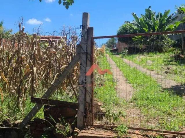 Terreno / Lote para Venda em Americana/SP Residencial Vale das Nogueiras