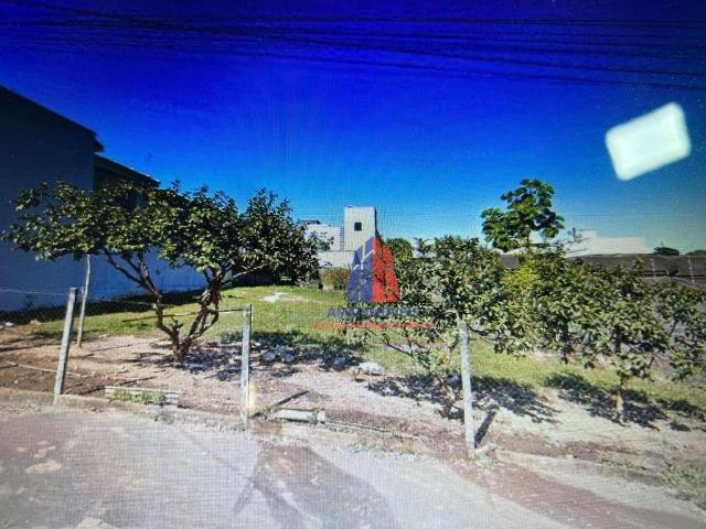 Terreno / Lote para Venda em Americana/SP Riviera Tamborlim