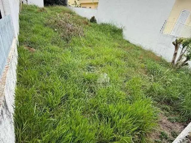 Terreno / Lote para Venda em Americana/SP Santo Antônio