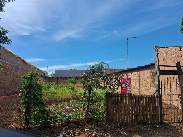 Terreno / Lote para Venda em Américo Brasiliense/SP Residencial Aliança