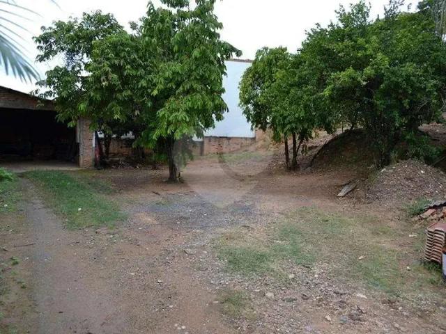 Terreno / Lote para Venda em Amparo/SP Castelo