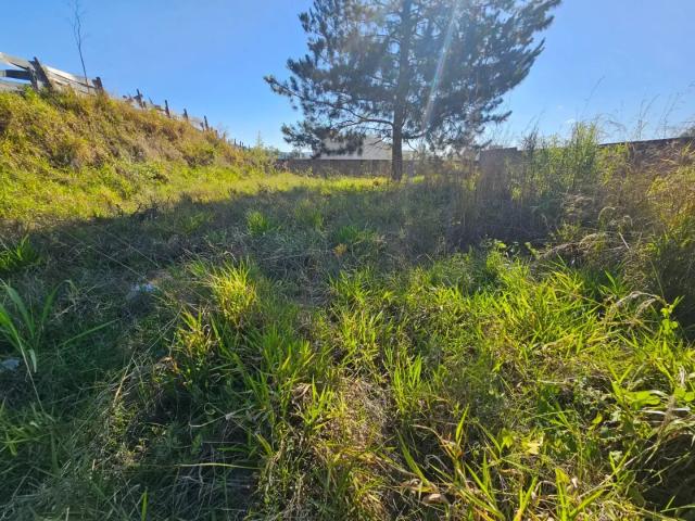 Terreno / Lote para Venda em Amparo/SP Centro